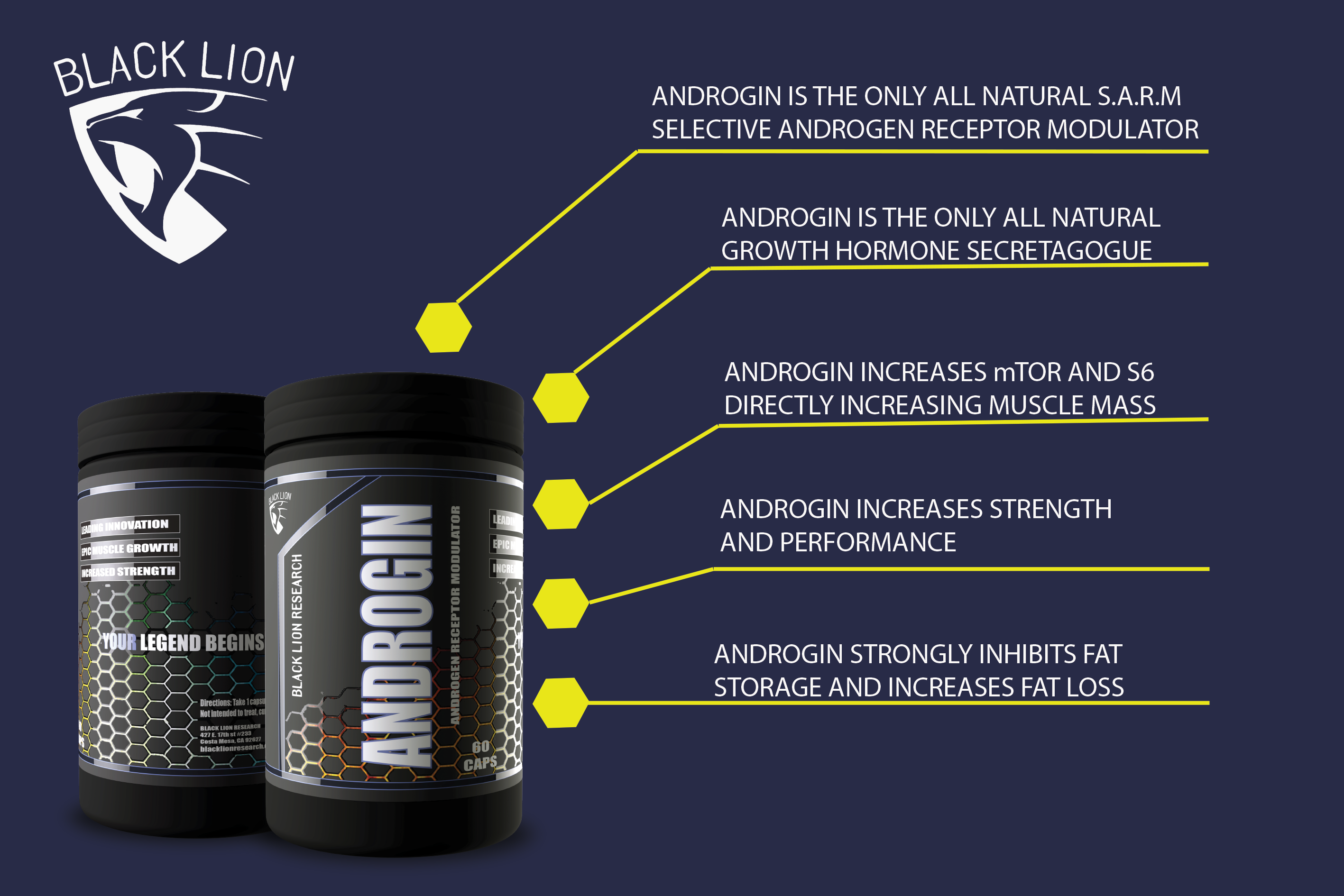 Androgin – Black Lion Research